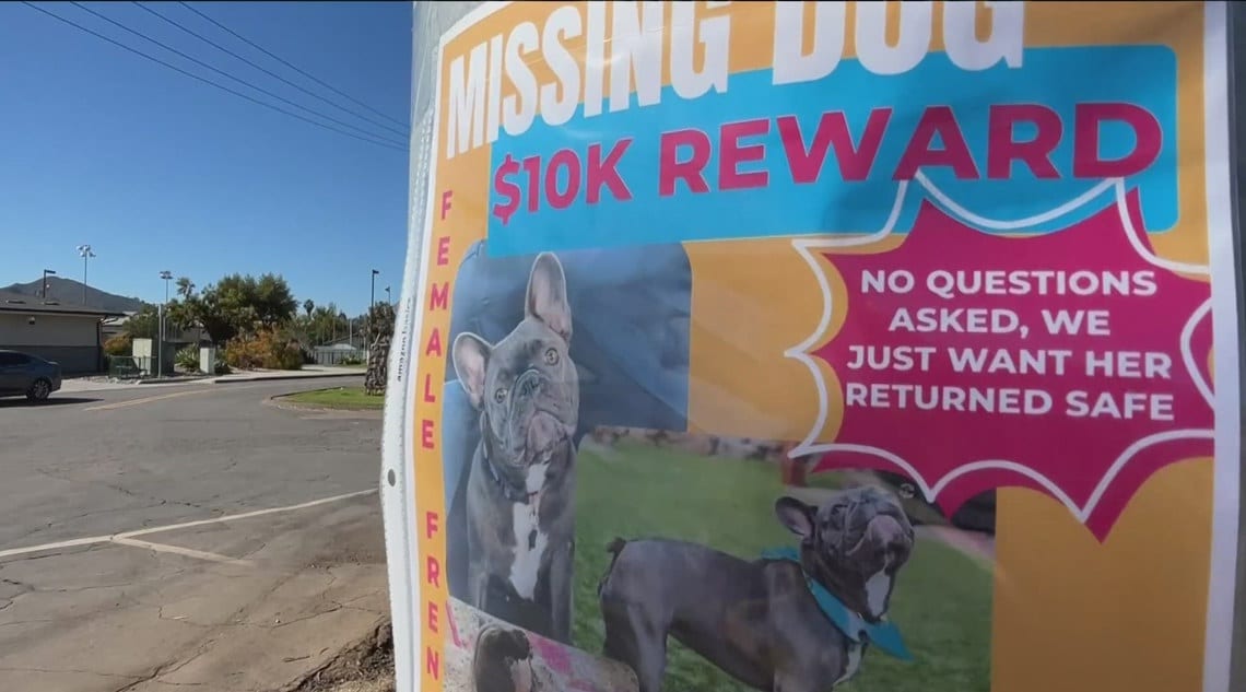 arceus executor discord